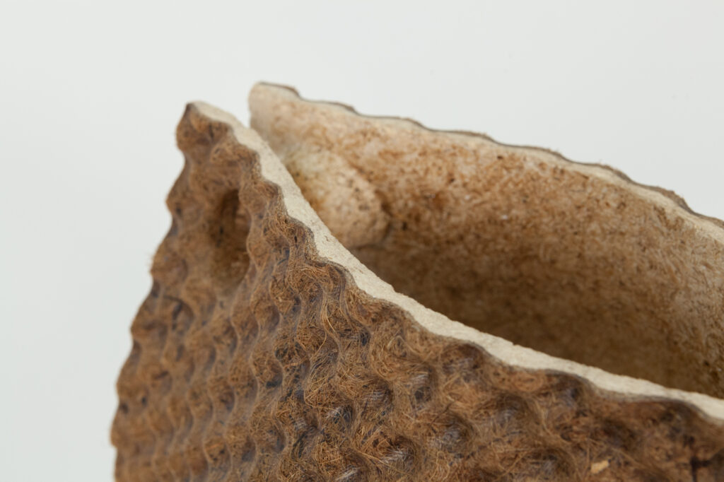 Mae Ling Lokko: On Coconuts and Earthships - Art Papers