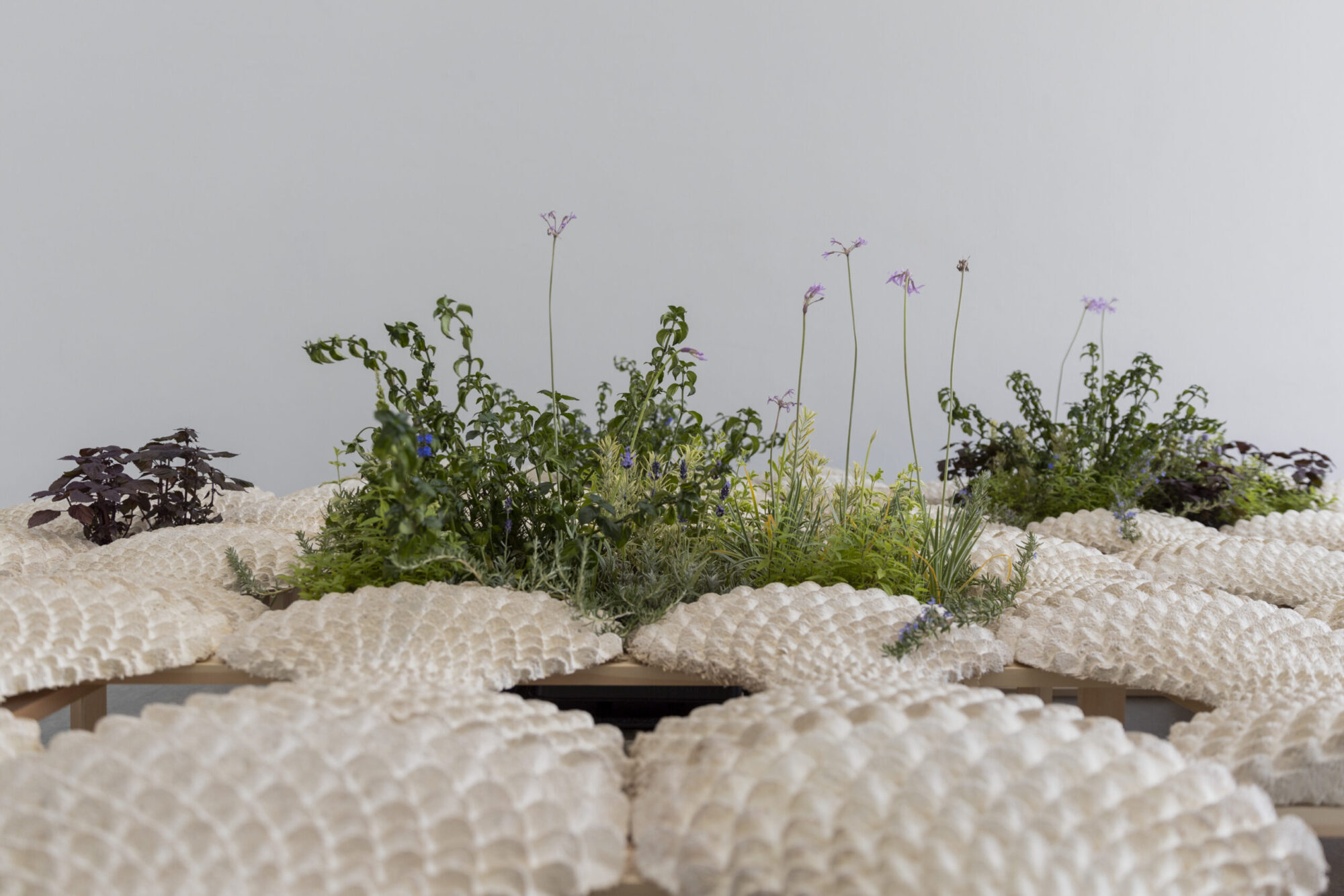 Mae Ling Lokko: On Coconuts and Earthships - Art Papers